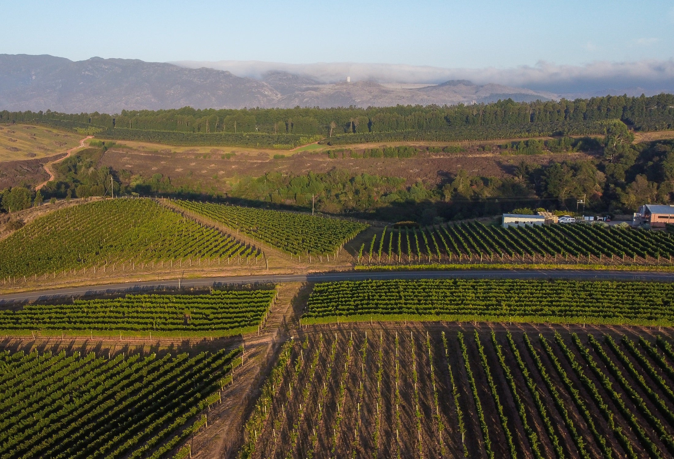 Organic wine making - Radford Dale wines South Africa