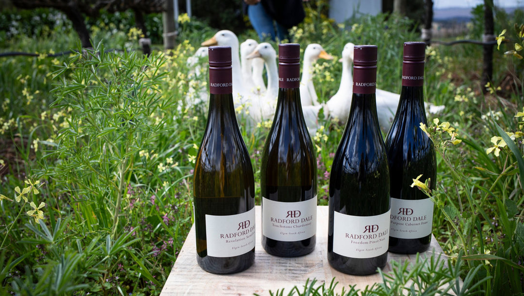 Radford Dale wines | All About Individuality