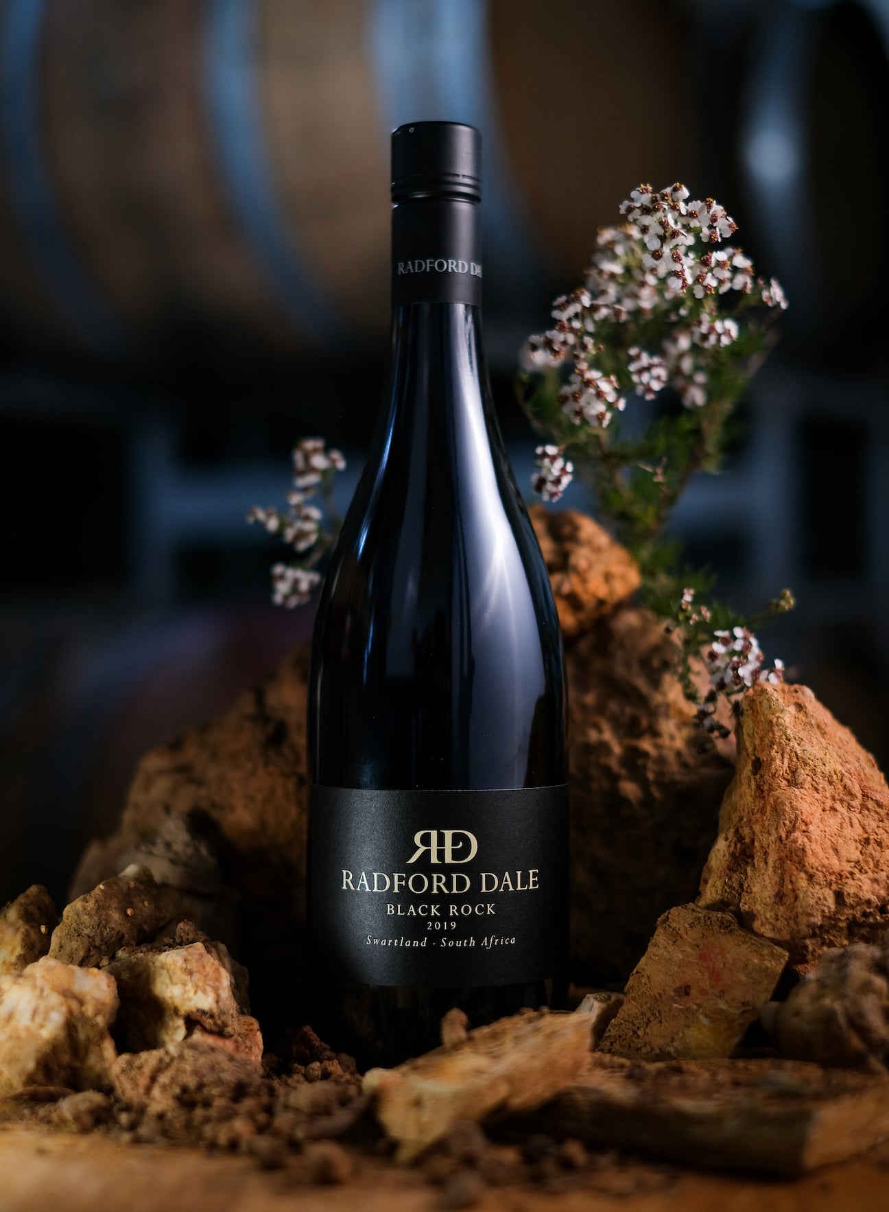 Collections – Radford Dale